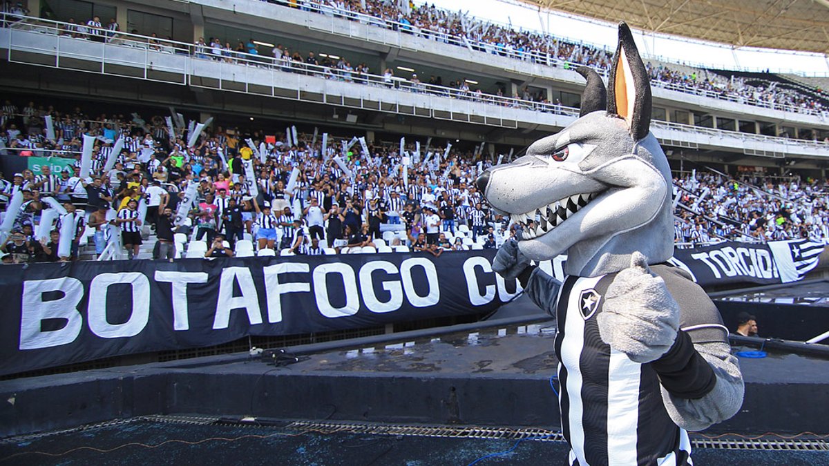 Qual é o Mascote do Botafogo? – AFAPLAY